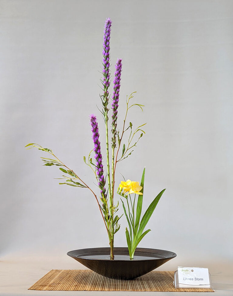 Home - Ikenobo Ikebana of Arizona